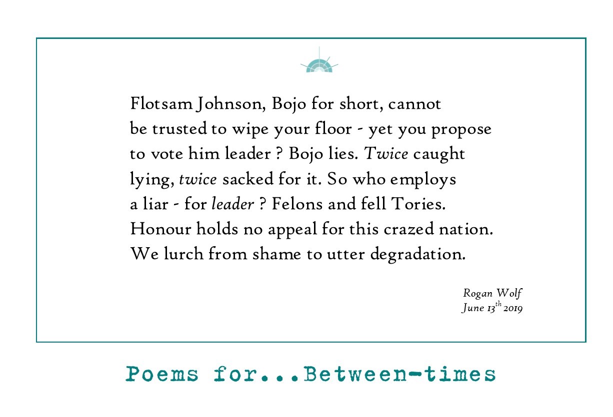 The Parrot Falls off his Perch – Rogan Wolf – Poet and Social Worker